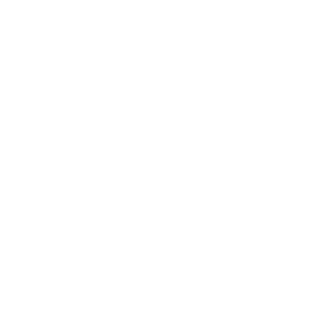 ThemeAtelier – WordPress video bubble plugin